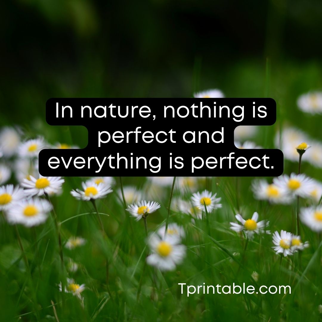 Best 30 Nature Quotes That Inspire Wonder - Tprintable
